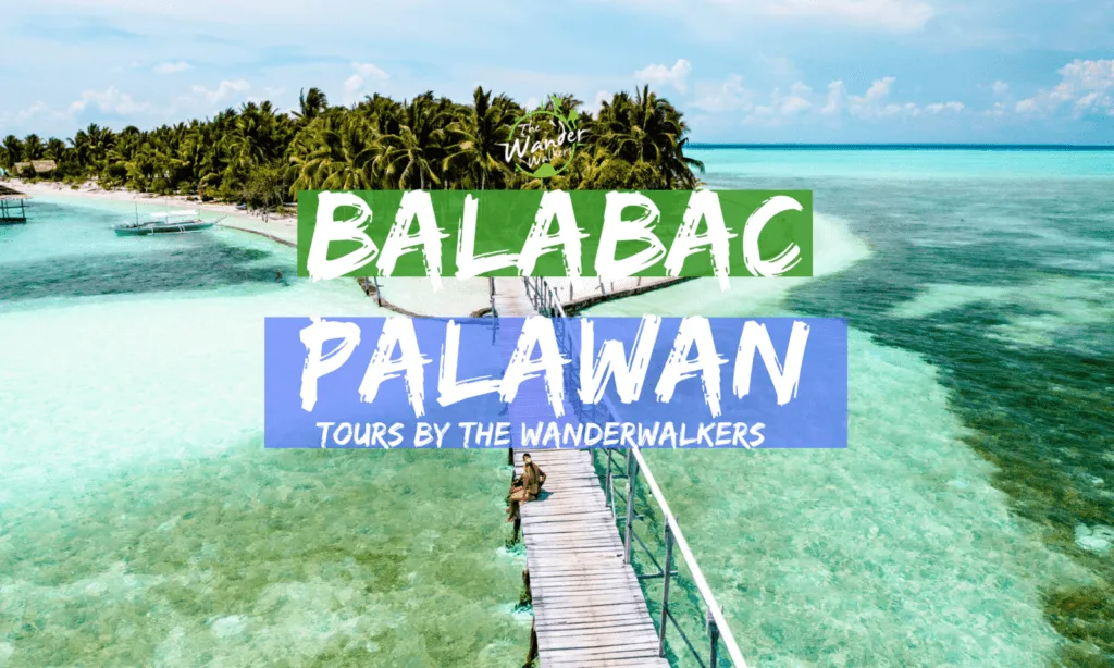 Balabac Tours by The Wanderwalkers - Best Tour In Tripadvisor