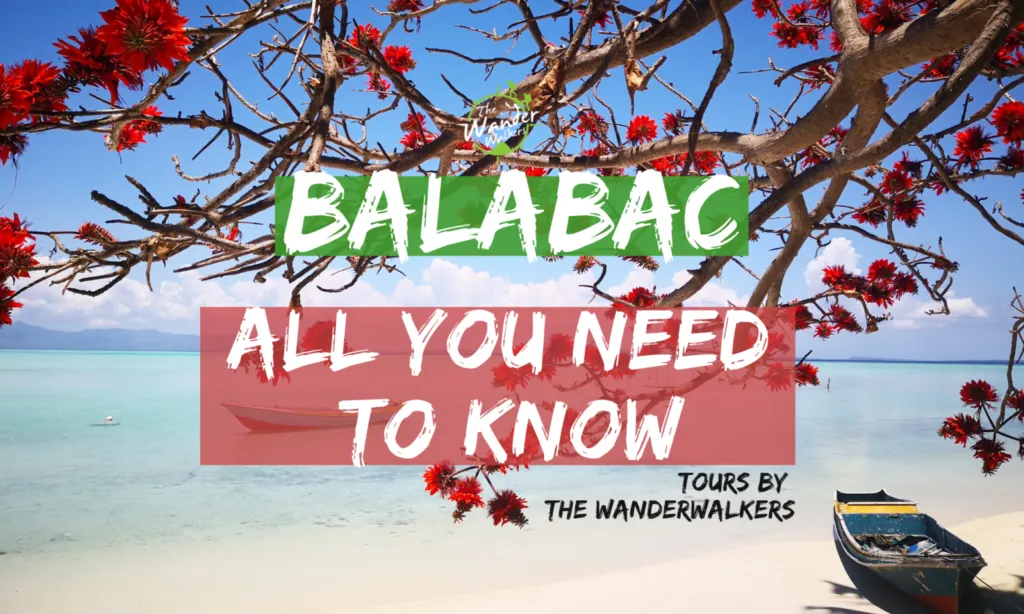 Balabac: All You Need To Know - The Wanderwalkers